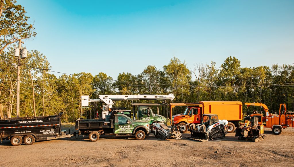 CT Tree Removal Experts | Lazer Scapes
