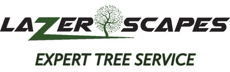 CT Tree Removal Experts | Lazer Scapes